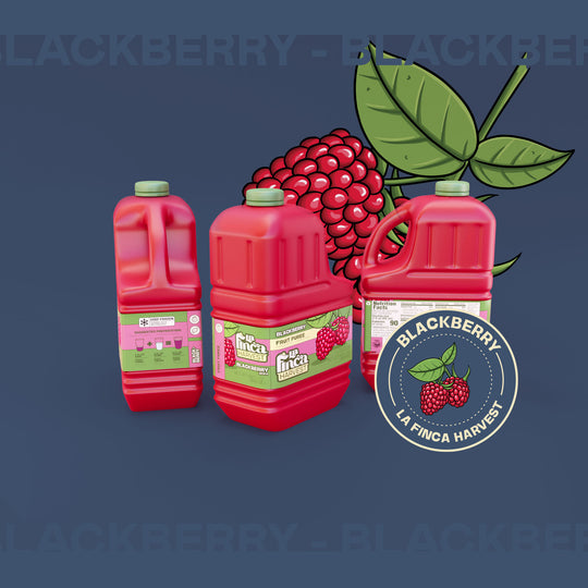 Andean Blackberry – La Finca Harvest